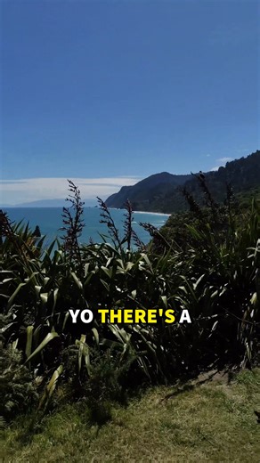 This is NOT a cemetery. Most of my explorations are not posted as YouTube shorts or long-form cemetery explorations, but occasionally, there is an overlap. High above the Mokihinui beach, on the West coast of Aotearoa NZ's South Island, you'll find these memorials to some of the Reid family. They have even donated a bench where you can sit. You might even spot some dolphins! You will need to navigate a maze to find it, though... 💬 What's the most interesting place that you've found a memorial o