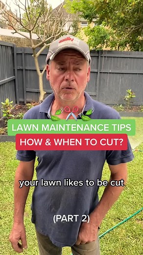 🍃Lawn maintenance tips - part 2 . #turf #turfing #lawns #lawncare #landscaping #lawntok #backyard #renovations #bunnings #backyardrenovation #diy #howto #sydney #huntershill #grass