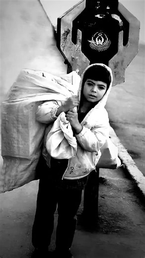 AMONG on Instagram: "This viral video captures a man repeatedly attempting to flee a pursuing Belgian Malinois through a kennel gate, creating a comedic "infinity loop" as the dog's relentless energy traps him in a cycle of evasion, filmed at what appears to be a dog training facility. , an account specialising in absurd, decontextualised human moments, the clip amassed over 8 million views and 34,000 likes within weeks, highlighting the breed's renowned stamina—Belgian Malinois can sustain high