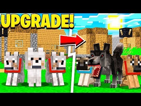 MORPHING Every WOLF into a DIFFERENT DOG BREED!