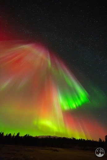 89K views · 5.4K reactions | One of the most beautiful aurora nights I have ever had in Malangen, Norway 殺 | Night Lights Films | Facebook