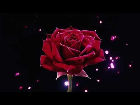 Romantic vibes – Sensual Ambient Instrumental for Intimate Nights