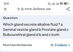 Which gland secretes alkaline fluid?a) Seminal vesicle glandb... | Filo