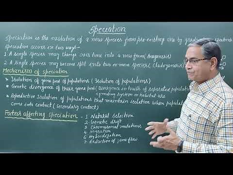 Speciation