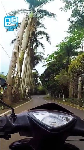 test GoPro hero 4 silver#motovlog