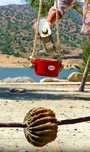 178K views · 229 reactions | Culinary Adventures with Cacti | 5-Minute Recycle | Facebook