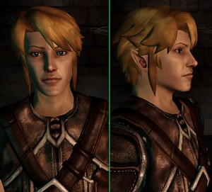 Link's_Hair-v1.0 addon - Dragon Age: Origins