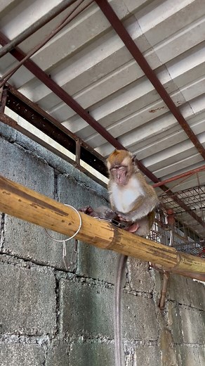 maka Inahan kag Abnormal🤣🤣 | Joan Cherry May Gomez