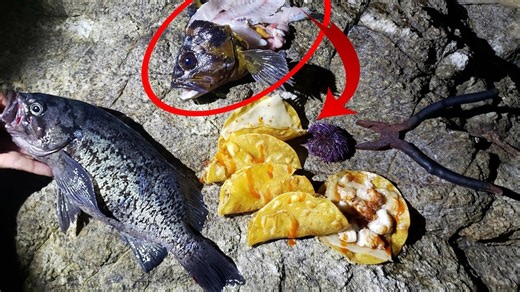 Day 1 survival: Desperate times, desperate tacos