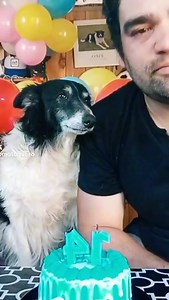 "PIPO ES TODO" | La conmovedora historia del "perro motoquero" que cumplió 14 años. “Lo encontré hace 14 años cuando salia de trabajar. Miré para una zanja y vi a un perro tirado que parecía muerto. Noté que se movió, lo cargué y me lo llevé”, así comenzó el camino de Pipo y Pablo. @elpipomotoquero | Diario El Orden - Coronel Pringles