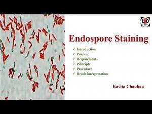 Endospore staining | Introduction | Purpose | Requirements | Principle | Procedure | Result