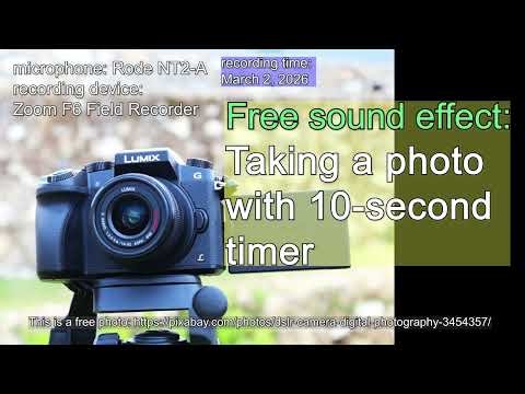 Camera 10-second timer sound, Free sound to use