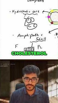 Lipoprotein structure DECODED! 🤯 #Lipoprotein #Biochemistry #Cholesterol #medicalbiochemistry #mbbs