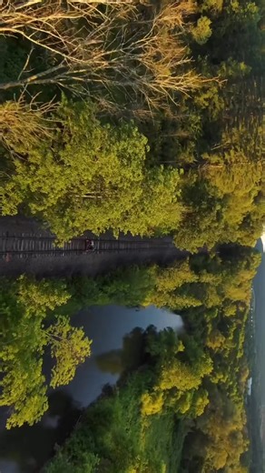 12K views · 114 reactions | Unwind with some full screen Cooperstown Scenery  Or see it for yourself on the Twilight Trail North Tour at the Rail Explorers: Cooperstown Division  Visit railexplorers.net or call 877-833-8588 for bookings and more information ℹ️ | Rail Explorers USA | Facebook