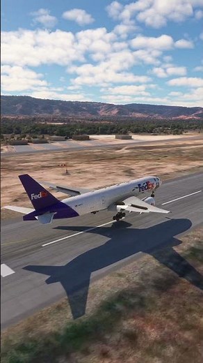 the pilot's actions endangered the plane's passengers EP230