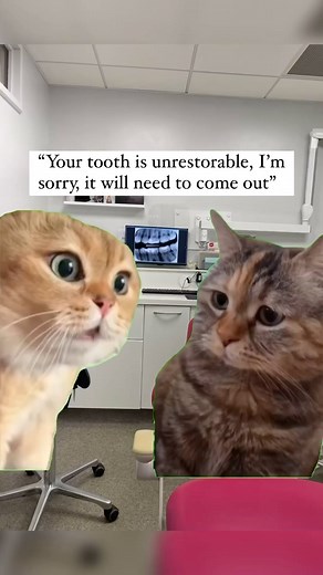 By • @smile.with.sherin GOT A BROKEN TOOTH? If it’s dead / infected / or broken under the gum please don’t just fill it 🥺 an unrestorable tooth in the mouth becomes a risk of infection which will eventually cause pain and eventually need taking out. Choose between taking it out before it hurts or after it hurts. 🤗 . . Follow 👉 @smile.with.sherin for more dental advice and humor . . #dentalhumor #funnydentalmemes #nhsdentist #oxforddentist #dentaladvice #dentistofinstagram | Dentistry blog