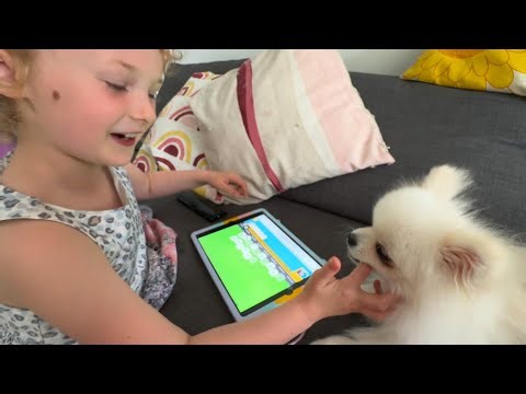 Dogs Love Helping with Homework 🐶