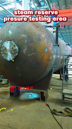 Industrial Boiler Manufacturer for Biomass Solutions