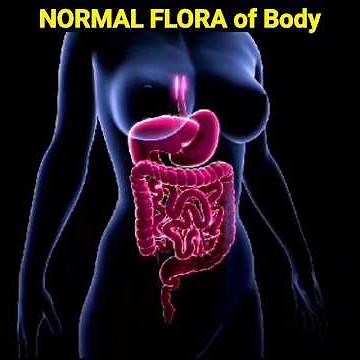 Normal flora of body?