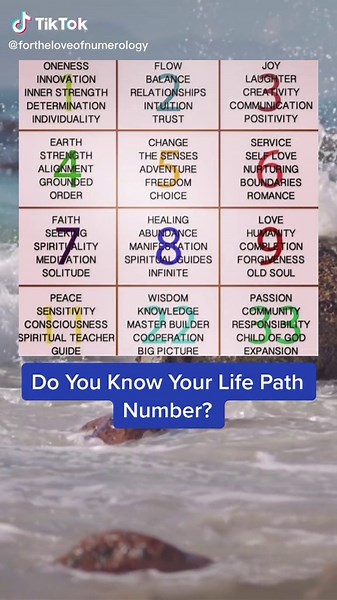 Understanding Life Path Numbers: Exploring the Meaning and Significance