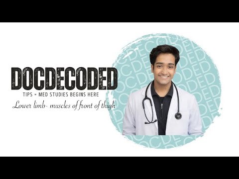 Lower limb 4- muscles of front of thigh