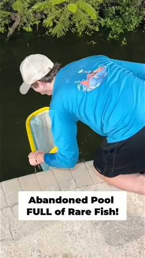 What's Living in This Nasty Abandoned Pool? #abandoned #animals #creature #fish #fishing