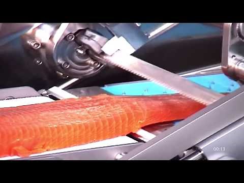 Multi Angle Slicer Geba SC 250 MA – Slicing at high speed