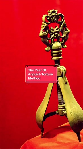 The Pear of Anguish: A Historical Torture Method