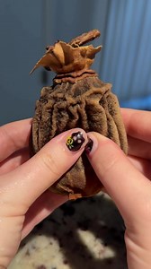 Dried persimmons are so cool!! I want to try making these hopefully next year! The drying process gets rid of all of the astringent flavor and leaves a sweet gooey delicious jam like texture in the center- almost like a dried fig or apricot but with the warm flavor you get with persimmons 😍😍 #reels | Soozie the Foodie