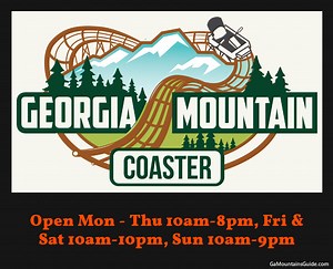 Georgia Mountain Coaster in Helen GA | Ga Mountains Guide