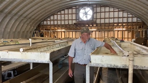 Owner of St. Mary Seafood & Marina, Daniel Edgar, takes us on a tour of his soft-shell blue crab operation in honor of National Seafood Month! Soft-shell crab production calls for a commitment because of the tedious task of monitoring the crabs throughout their molting process. Decreasing crab populations are another obstacle threatening the industry, but for those producers hanging on, the demand for soft-shell crabs is strong. | LSU AgCenter
