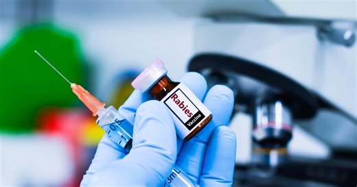 Dog tests positive for rare case of rabies in Chicago