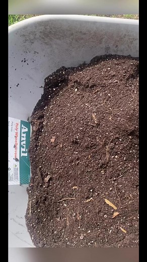 1.5K views · 117 reactions | Benefits of composting! #compost #dirt #urbanfarming | Big Steele Urban Farm | Facebook