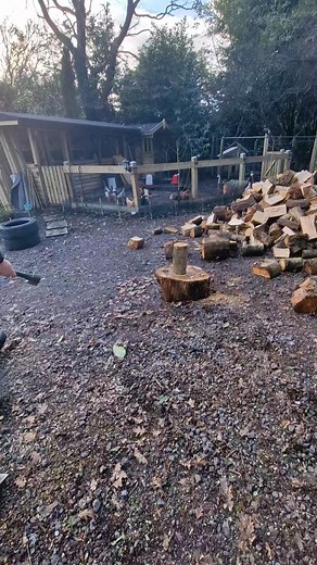 #tips on #splitting #fire #wood let the #AXE do the #work keep #warm #TWICE | Davies Wood