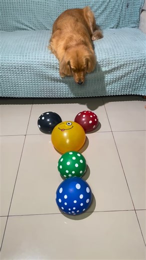 49K views · 826 reactions | black ❤️ red green  blue  yellow. Balloon pop asmr | Calm & cozy | Facebook