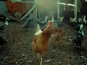 Без названия – смотреть видео онлайн в Моем Мире | Андрей Гумбин