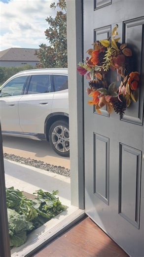 Why Instacart deliver my collard greens like I ordered a whole TREE?! 😭🍃 Not him dropping off my Thanksgiving greens like a landscaping project at the front door 😂 At this point I guess I’m cooking for a small village this year. 🥴🦃 These greens got their own ZIP CODE! #ThanksgivingComedy #HolidayHumor #Thanksgiving2025 #GreensOnGreens #SouthernCookingFun #InstacartChronicles #CookingForTheWholeFamily #CollardGreensSeason #ThanksgivingFail #KitchenComedy #HolidayCookingStruggles #TurkeyDayLa