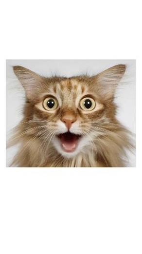 West Mechanical Inc. on Instagram: "When was the last time you pushed this button? 🤔⚡ You see these outlets in your bathroom and kitchen every day, but most people ignore those two little buttons in the middle. They are there to save your life. A GFCI (Ground Fault Circuit Interrupter) is designed to cut the power instantly if water gets involved. But unlike regular outlets, they can "go bad" silently. The "Blow Dryer" Test: 1️⃣ Plug in a hair dryer and turn it on. 2️⃣ Push the TEST button on t