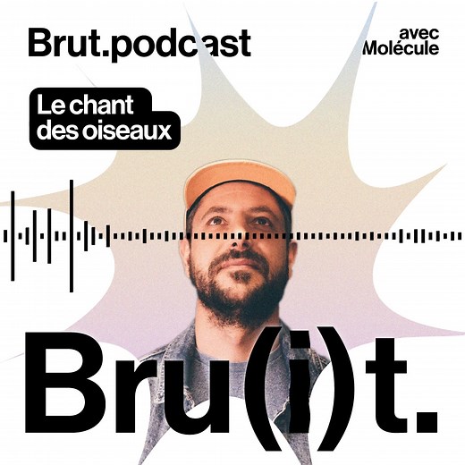 Dans cet épisode du podcast Bru(i)t, Molécule revient sur les origines des chants d’oiseaux qui ont toujours fasciné les hommes et qui, pour certains, sont voués à disparaître... À écouter sur toutes les plateformes : https://lnk.to/bruit | Brut