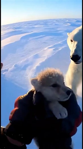 Phillies land All-Star closer Jhoan Duran ahead of MLB trade deadline❤️🐱❤️