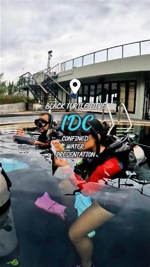 PADI IDC Confined Water Training on Koh Tao: Learn to Become A Scuba Diving Instructor 🤿 #shorts