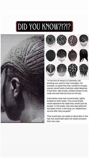 1K views · 91 reactions | Today in Black Womens History i researched the history behind cornrows. From Ancient African Heritage to Modern Symbolism #naturalhair #cornrowstyles #braidstyles #4chair #blackpower #colombia #history #shows | Black Woman's History | Facebook