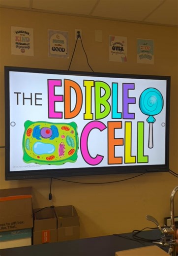 Creative Candy Cells: A Fun Science Experiment