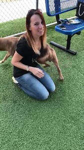 2/7: RIP Mitzy!!! Run free at the Rainbow Bridge. Get lots of love from the babies who have gone before you & please welcome any that come after. You mattered. You were loved. 🚨🚨CODE RED - LAST CALL DOG🚨🚨 Last night we shared Peanut who is on the Last Call List. The only other dog on the list with him this week is Mitzy, #A394827. They each need to be adopted or fostered by Tuesday at 6pm or they will be euthanized. Mitzy is 2 years old and spayed. She is hw+, but her treatment is sponsored 