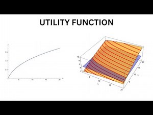 The Utility Function | Microeconomics