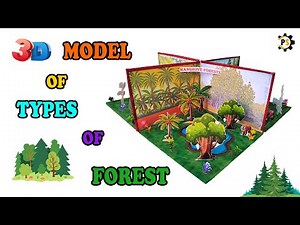 3D MODEL OF TYPES OF FOREST || NATURAL VEGETATION || SST PROJECT