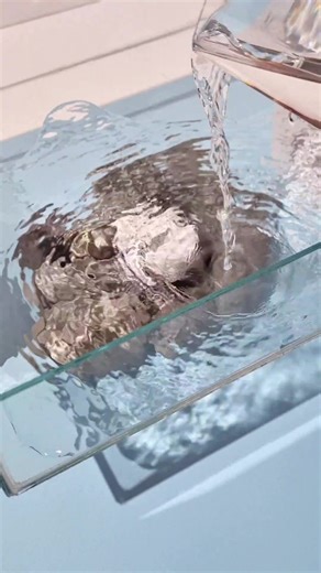 Creative Water Effect Photography Tips