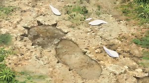 Lie Detector Test on Mentalist #suika #suikawatermelon #drstoneseason4 #drstone #senku #drstoneanime #anime #drstoneseason4part2 #animeedit | Animething