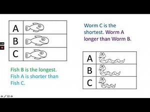 1st Grade Lesson 31 Order Objects by Length