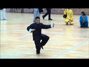 James Fu Qing Quan 28 Yang Taichi
